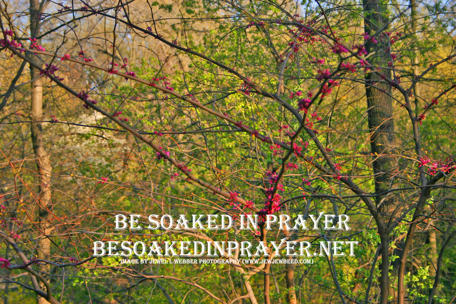 God Is My Provider – Be Soaked In Prayer