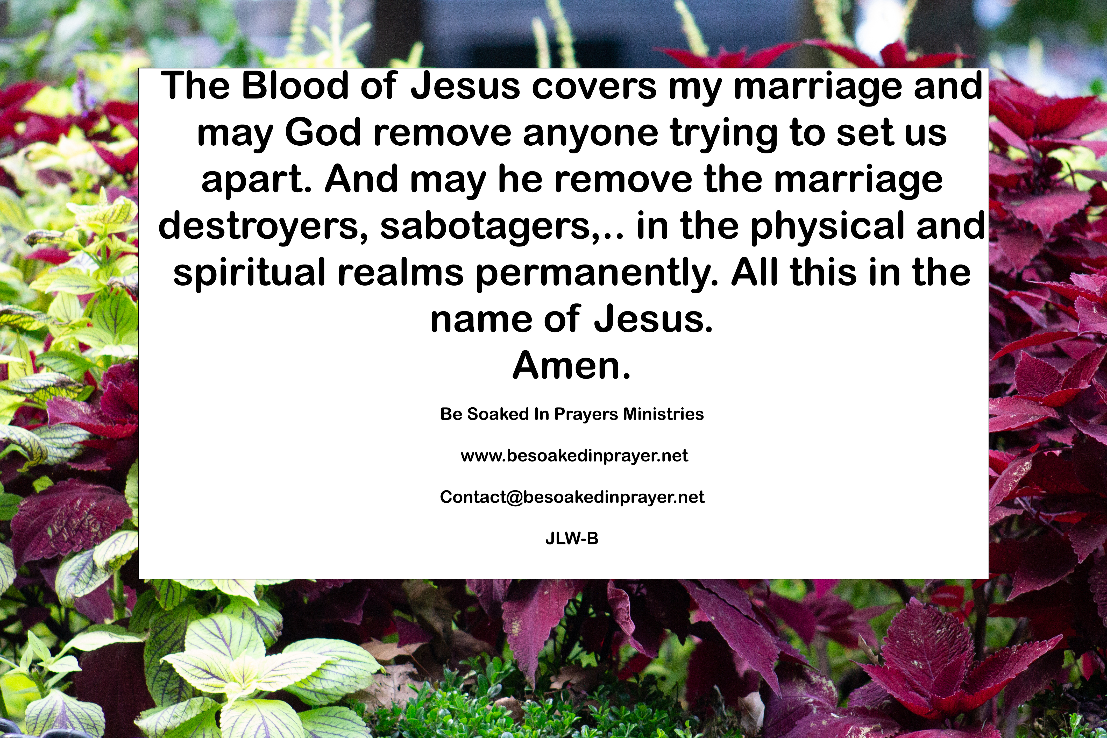 The Blood of Jesus covers my marriage and may God remove anyone trying ...